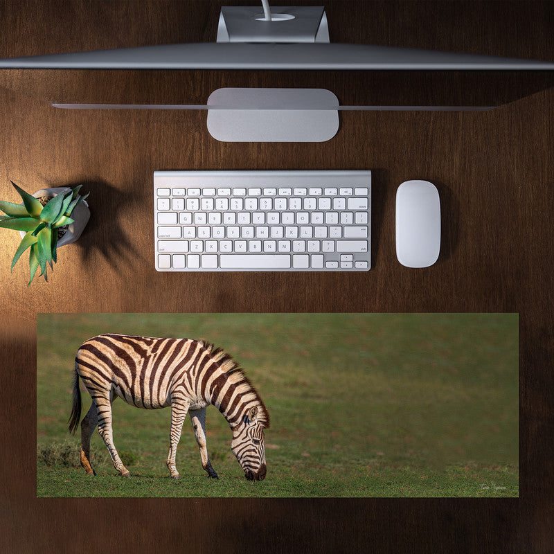 Grazing Zebra Desk Pad by Fanie Heymans – Print with Passion Decor