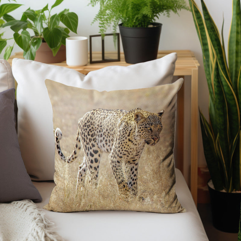 Leopard Luiperd Panthera Pardus Kgalagadi Luxury Scatter By Fanie Heym ...