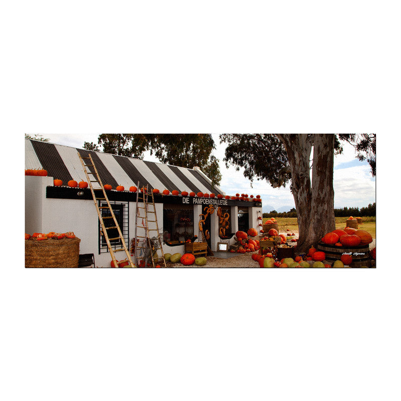 Pampoen Padstal Large Desk Pad By Annette Heymans – Print with Passion ...