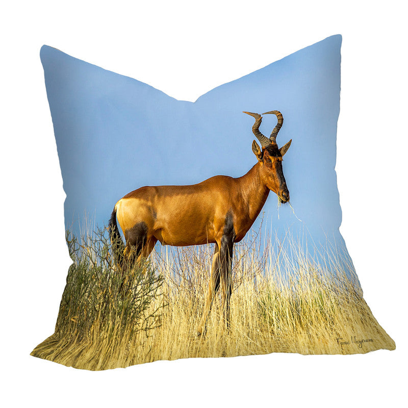 Rooi Hartebees Luxury Scatter By Fanie Heymans – Print with Passion Decor